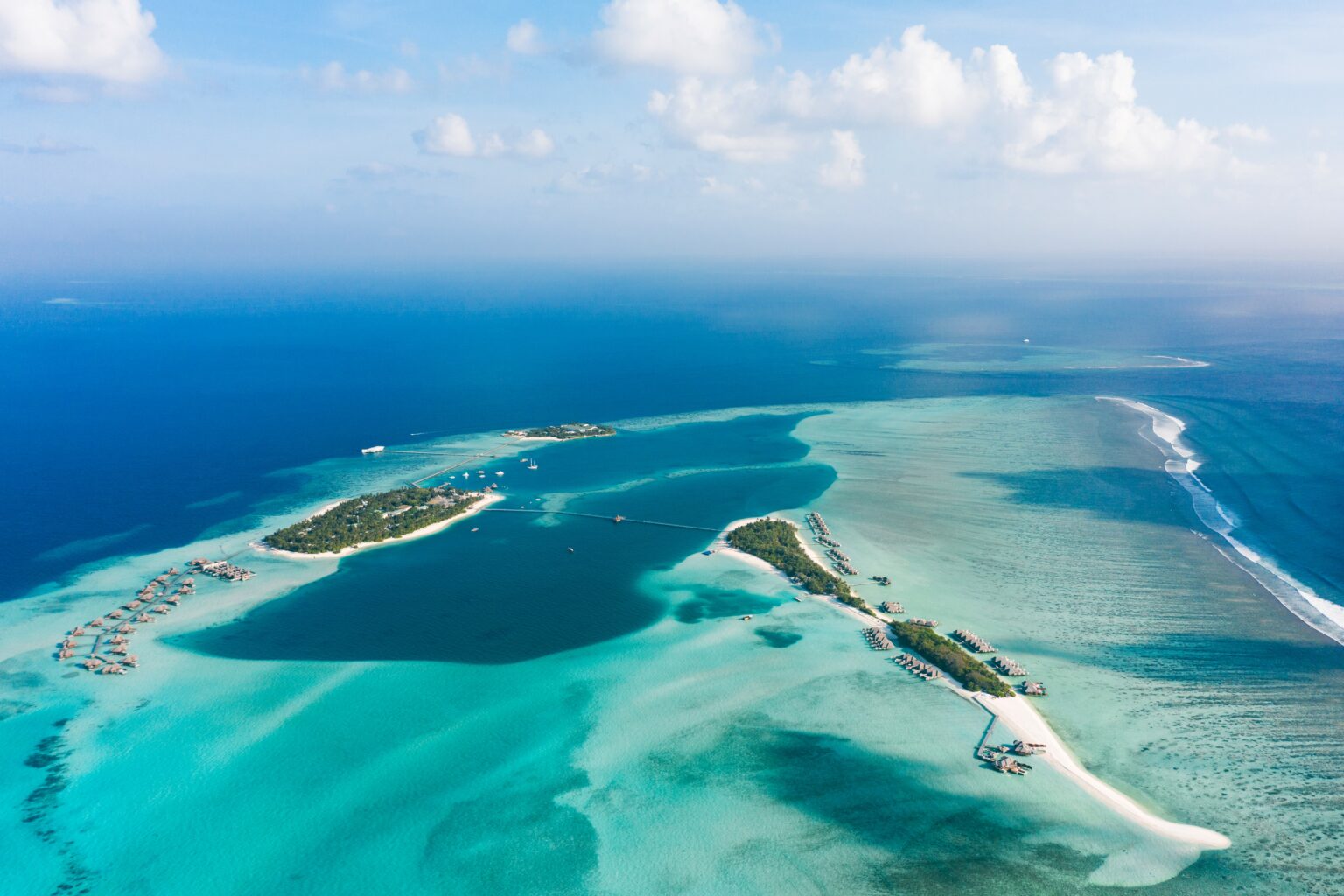 Celebrate a Tropical Festive with an Enchanted Forest Theme at Conrad ...