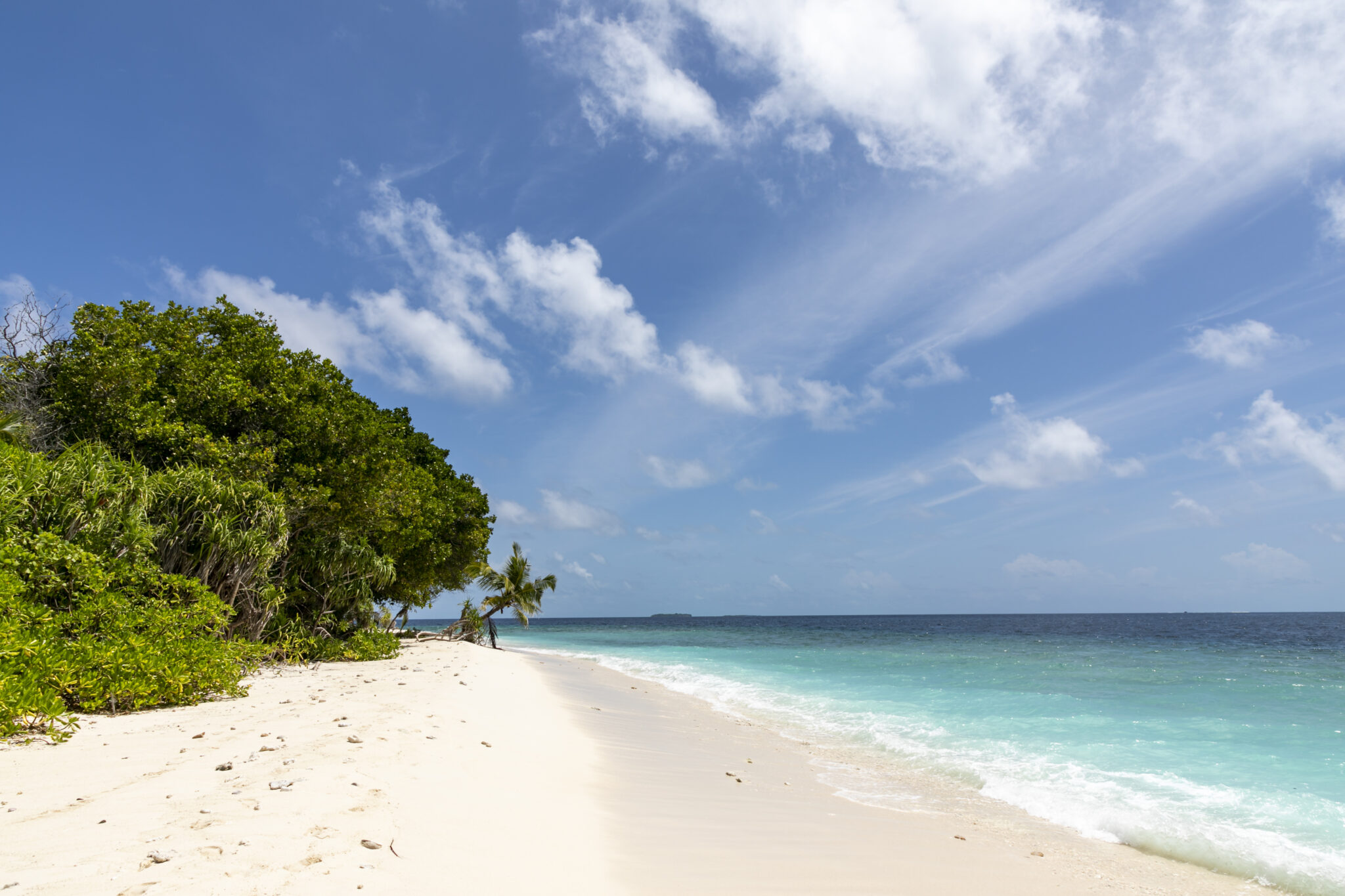 Exploring the Maldives’ Local Islands and Their Distinctive Charms ...