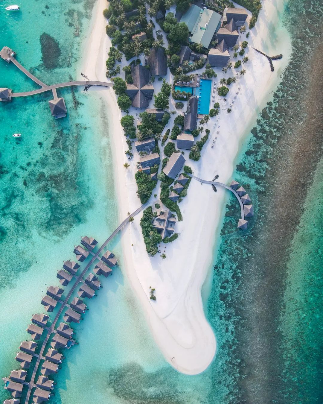 Mayfair Chef Brings a Taste of India to Cora Cora Maldives this Festive ...