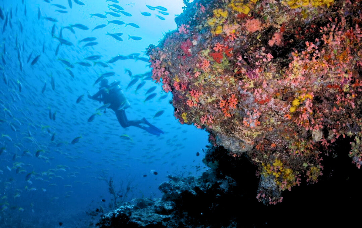 Magical Milaidhoo: 12 Experiences You Just Can’t Miss – Maldives ...
