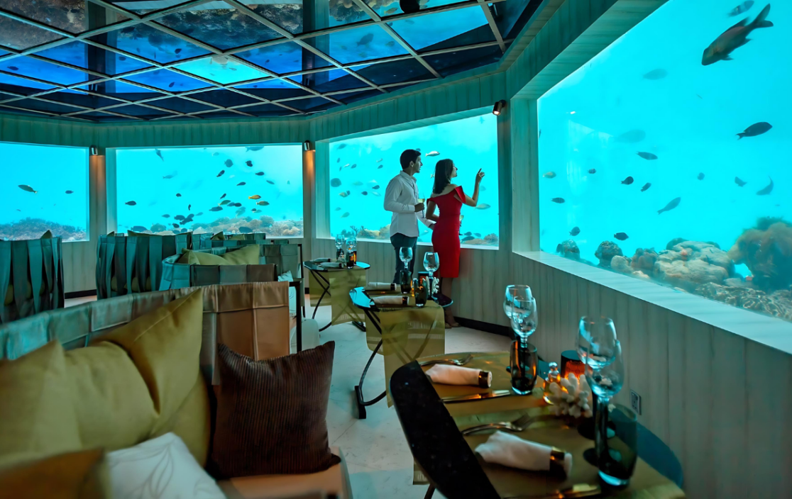 Dining Beneath the Waves: The Maldives’ Stunning Underwater Restaurants ...